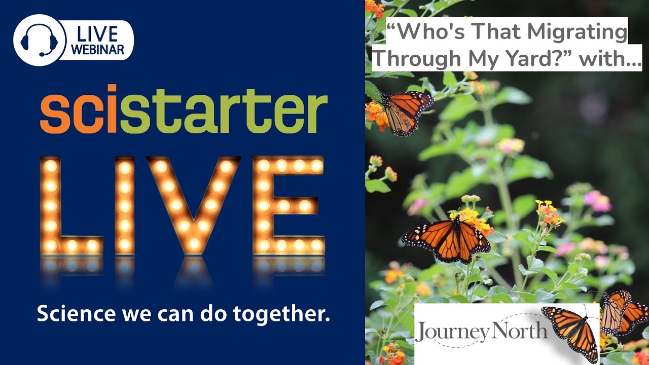 SciStarter LIVE #36: 