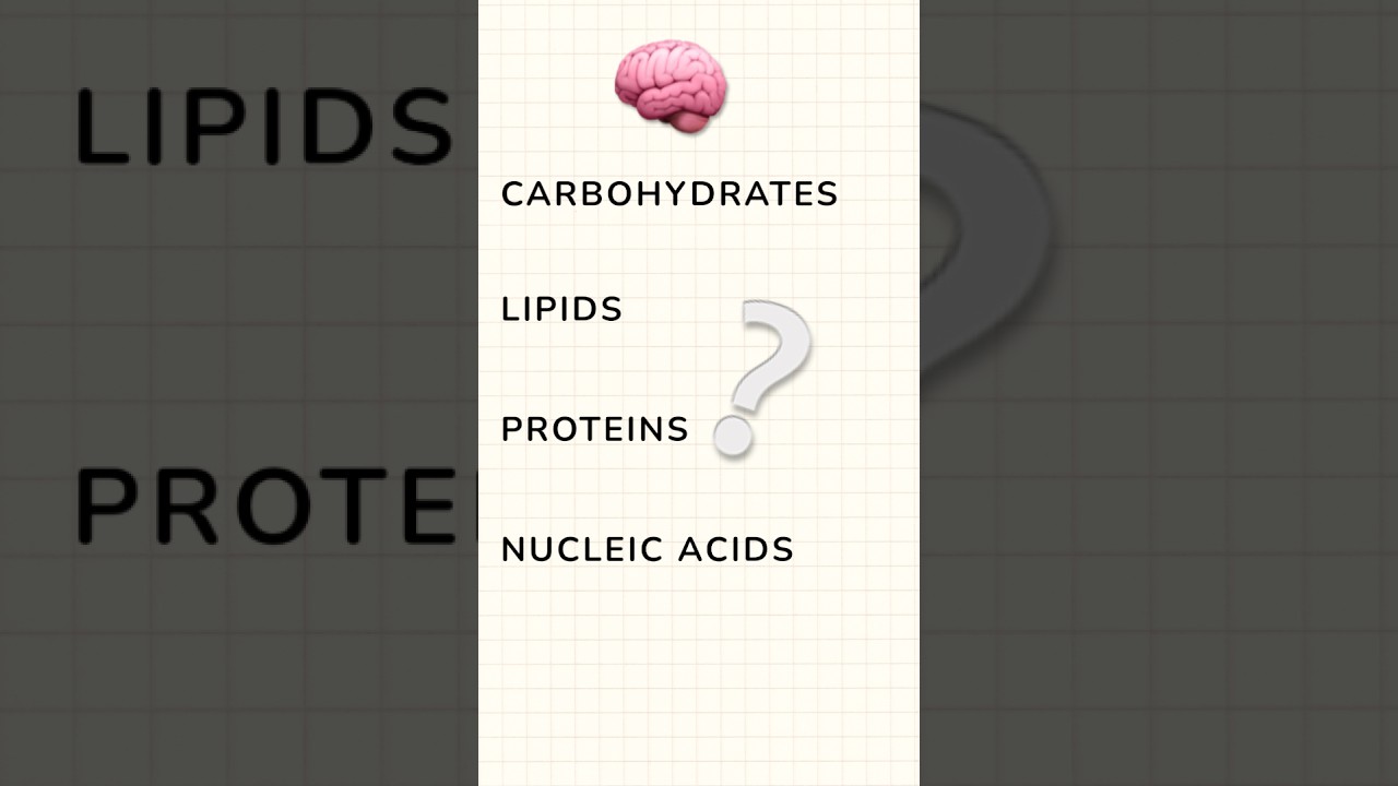 What are the monomers of the 4 major biological macromolecules?