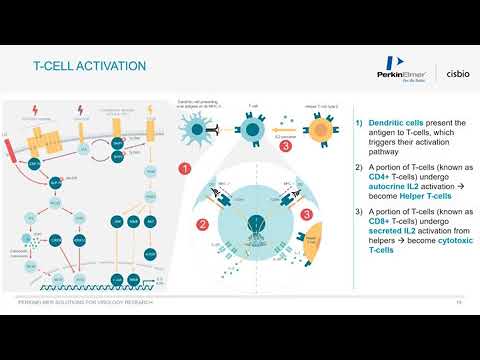 Innovative Reagent Solutions in Virology Research