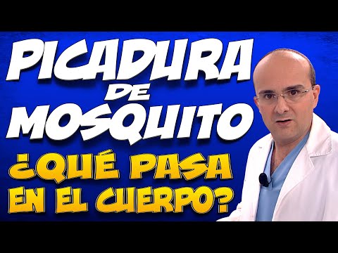 PICADURA DE MOSQUITO - ¿Qué pasa en el cuerpo de las personas que la padecen?