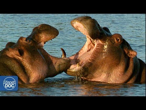 Lake Manyara National Park Tanzania. Part 4