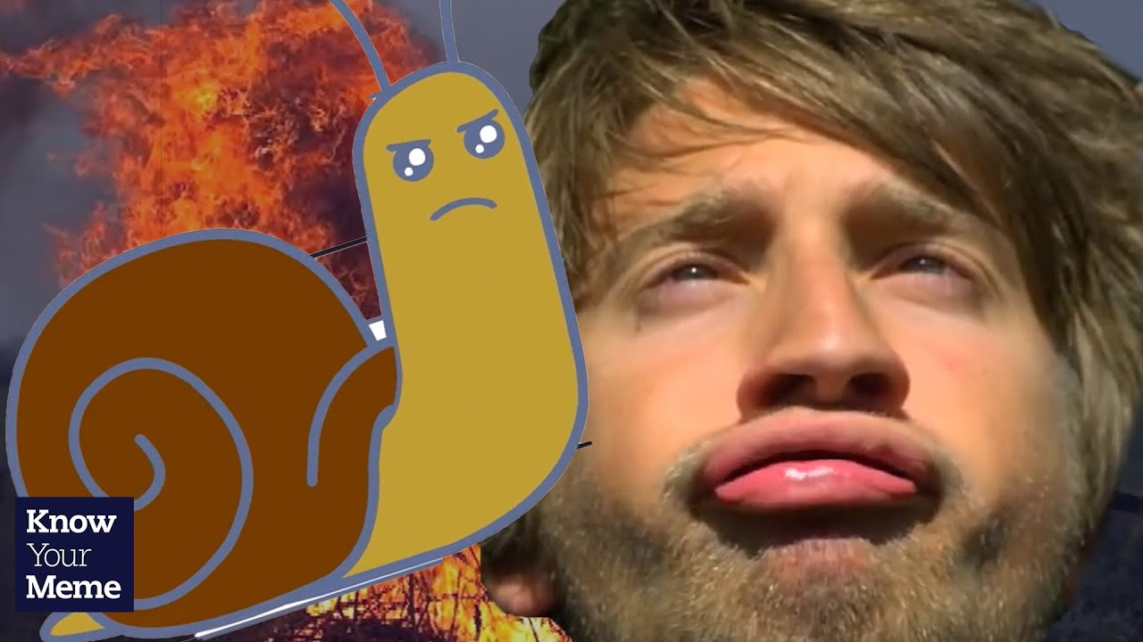Could You Avoid an Immortal Snail Assassin for $10 Million? | Meet the Meme