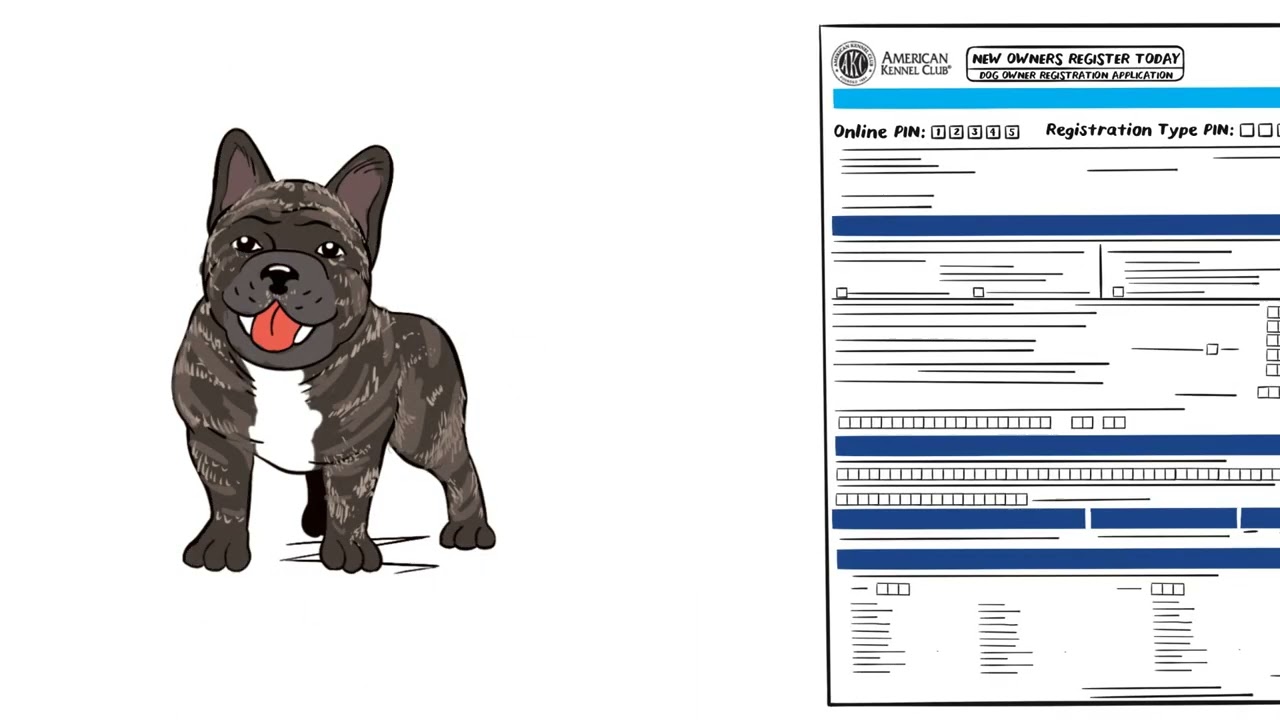 Finding and Using Your Dog’s Pin Number
