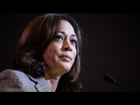 ‘Lying for the left’: US media denies Kamala Harris was ‘border czar’