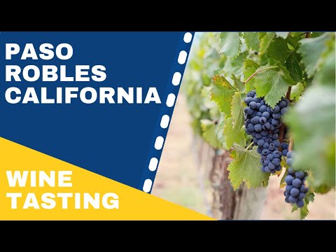My Favorite Tasting Experiences at Wineries in Paso Robles, California
