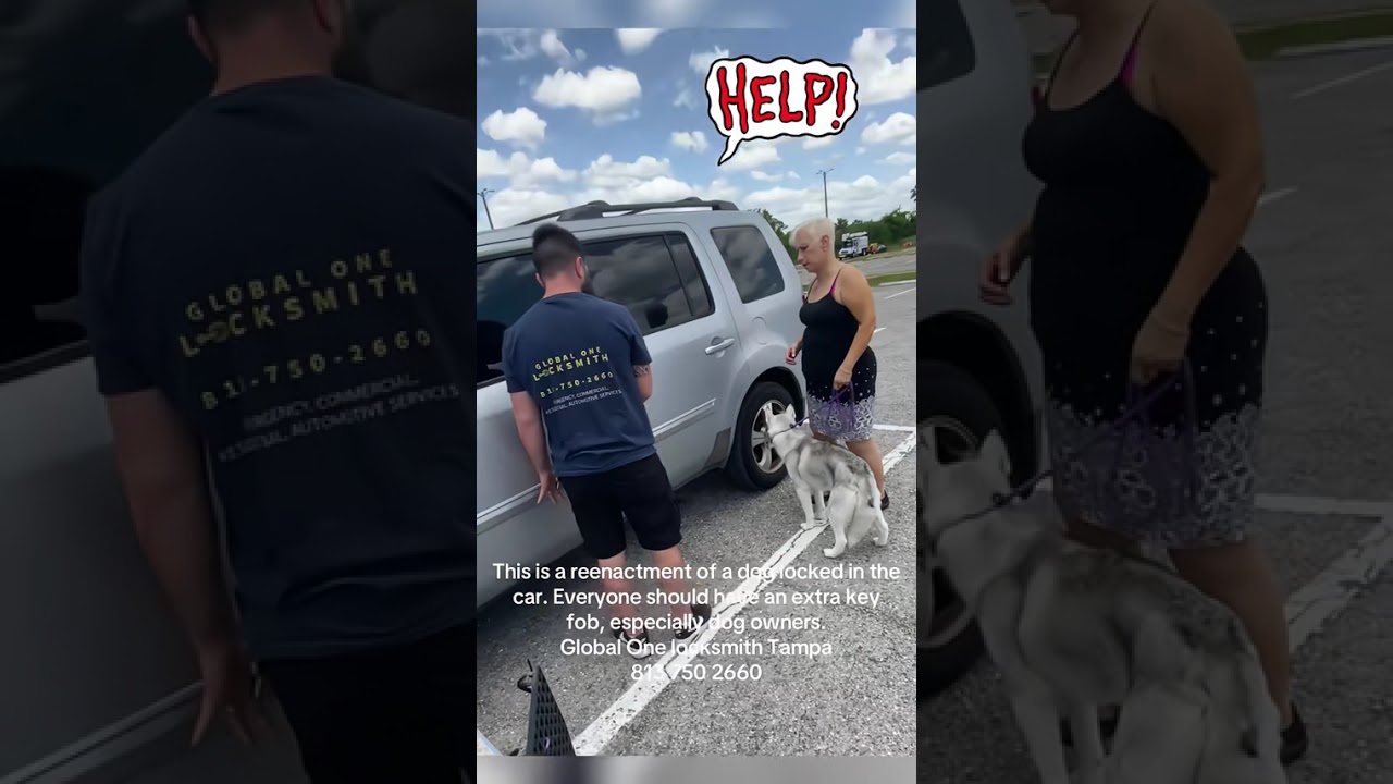 Dogs locked in the car no problem Global One Locksmith, LLC Rescue #tampa #tampabay #automobile
