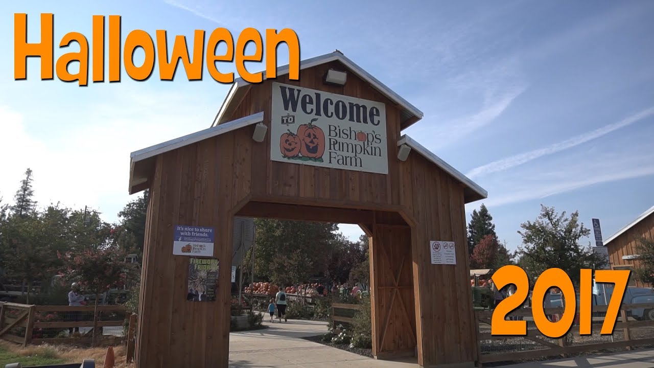 Bishops Pumpkin Farm 2017