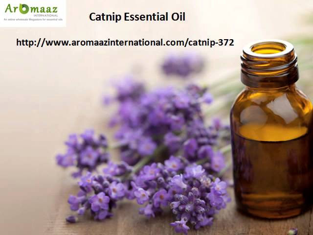 Organic Essential Oils - Organic Cinnamon Bark Essential Oil ...