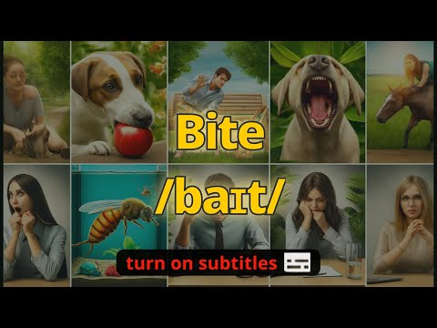 Bite meaning with 5 examples