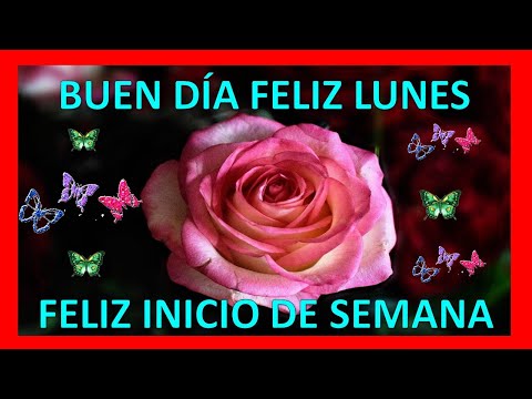 💥✨ BUEN DÍA FELIZ LUNES Y BUEN INICIO DE SEMANA ✨💥