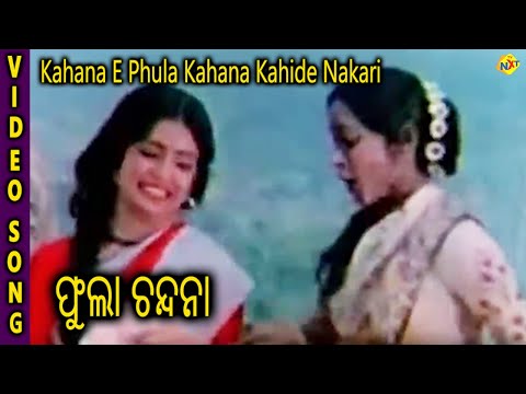 Kahana E Phula Kahana Kahide Nakari Video Song || Phula Chandana || Uttam Mohanty || TVNXT Odia