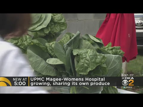 UPMC Magee-Womens Hospital grows and shares its own produce