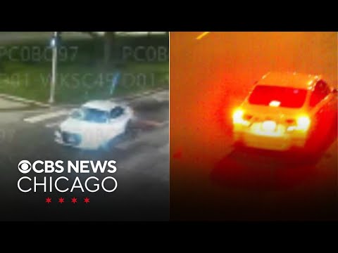 CPD release photo of vehicle in fatal DuSable Lake Shore Drive hit-and-run