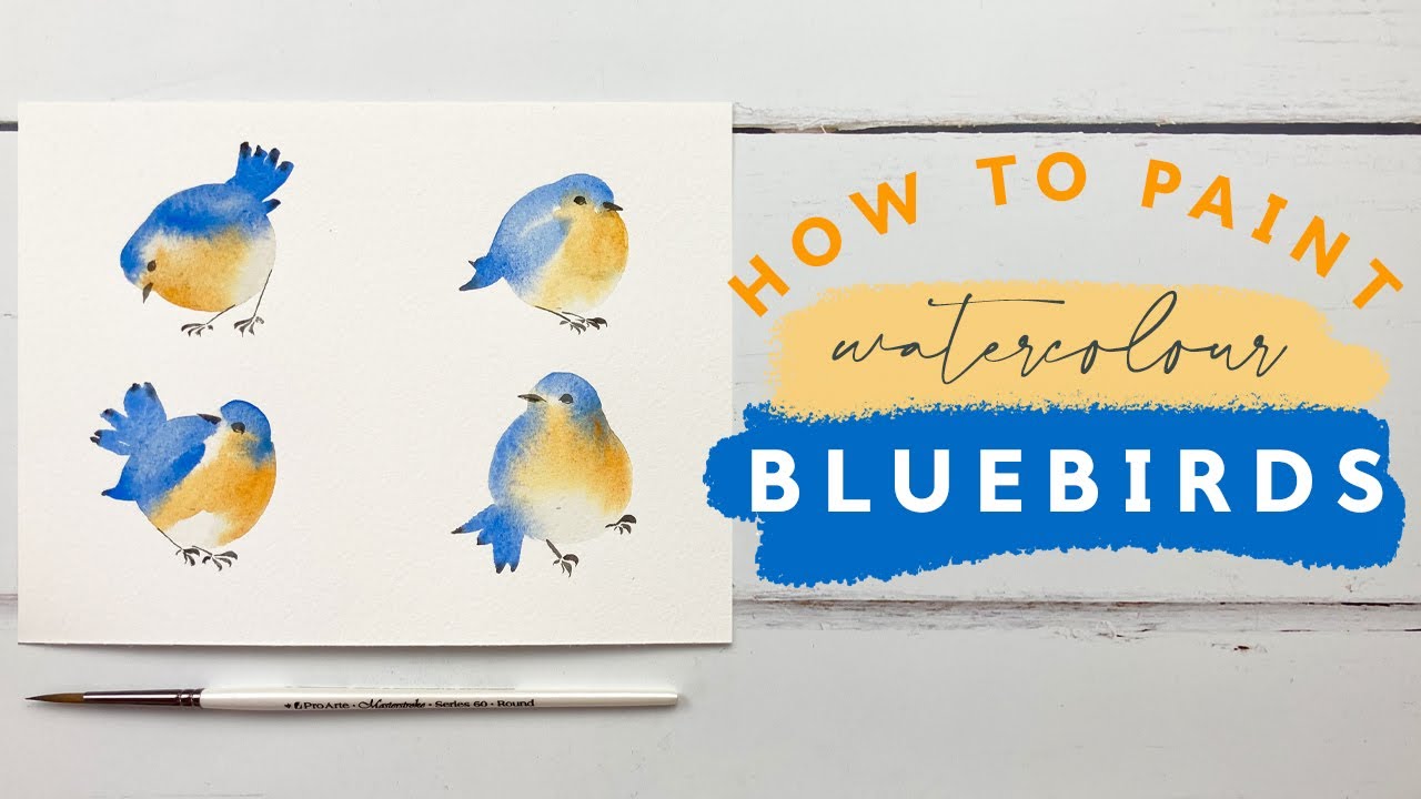 How To Paint A Watercolour Bluebird