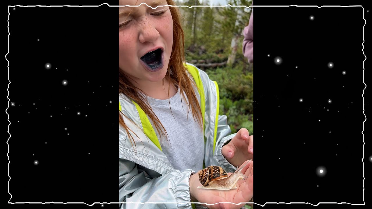CABiN SCAVENGER HUNT!! Adley explores the woods for animals and finds NEW PET SNAIL #Shorts