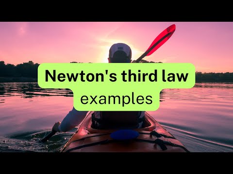 Newton's third law examples
