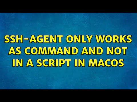 ssh-agent only works as command and not in a script in macOS