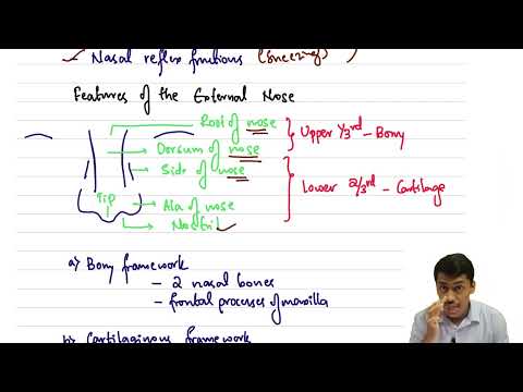 Anatomy of Nose Introduction and Vestibule l Nasal Cavity