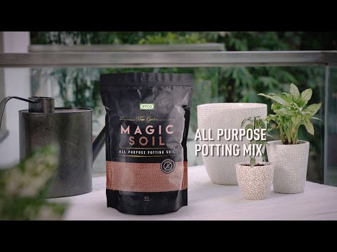 Potting Soil at Best Price in India