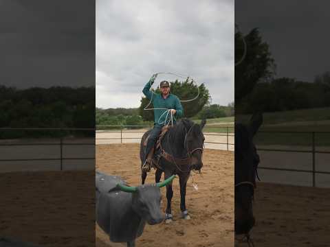 Team Roping Drill for Beginners #teamroping