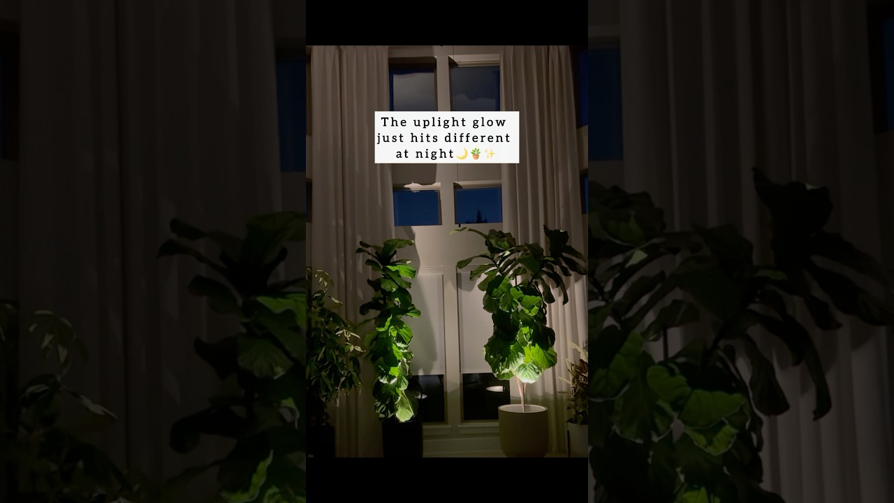 All links can be found in my LinkTree or follow me on Instagram to get direct links sent to you!