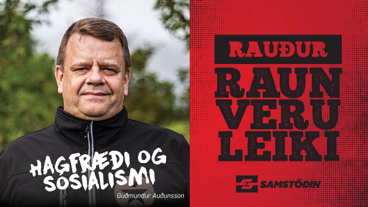 Rauður Raunveruleiki – Guðmundur Auðunsson / Hagfræði og Sósíalismi ...