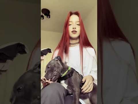 Cute Doge picture, My Cute Dogs Please subscribe me, #love #viralvideo #dog #flowers #cute #baby