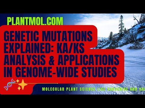 Genetic Mutations Explained: Ka/Ks Analysis & Applications in Genome-Wide Studies 🧬✨
