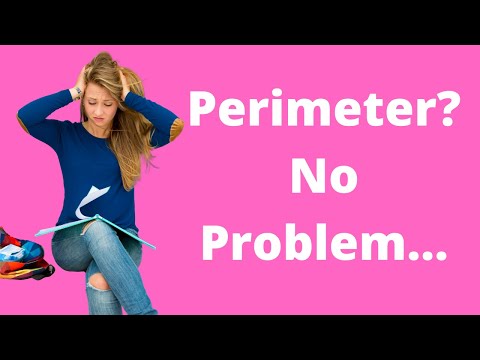 Whats the difference between perimeter and area