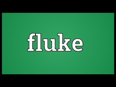 Fluke Meaning