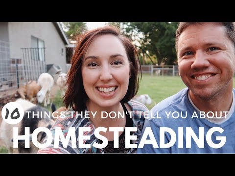 9 Easy Steps on How to Start Homesteading Today! - Survivalist 101
