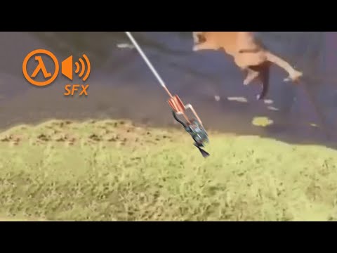 Steam Community :: Video :: Half-Life Cat 2: Episode 2