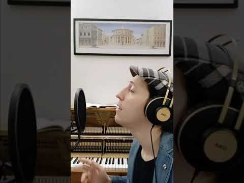 L'ITALIANO - Toto Cutugno (Cover by Diego Nicolosi)