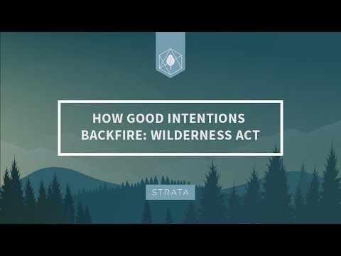 Good Intentions - Wilderness Act