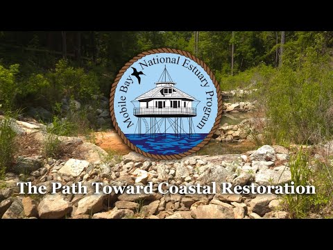 The Path Toward Coastal Restoration