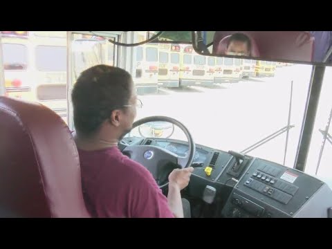 Lamers Drive the Bus