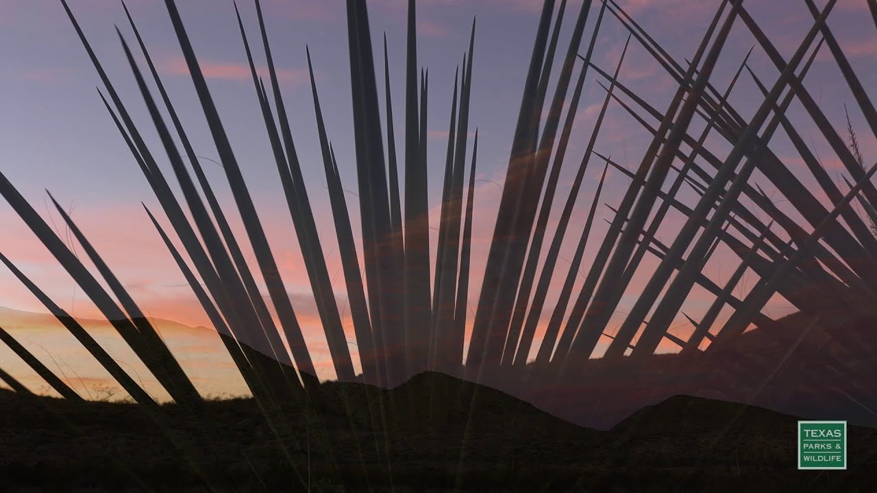 Big Bend, Mountains and Clouds - Postcard From Texas