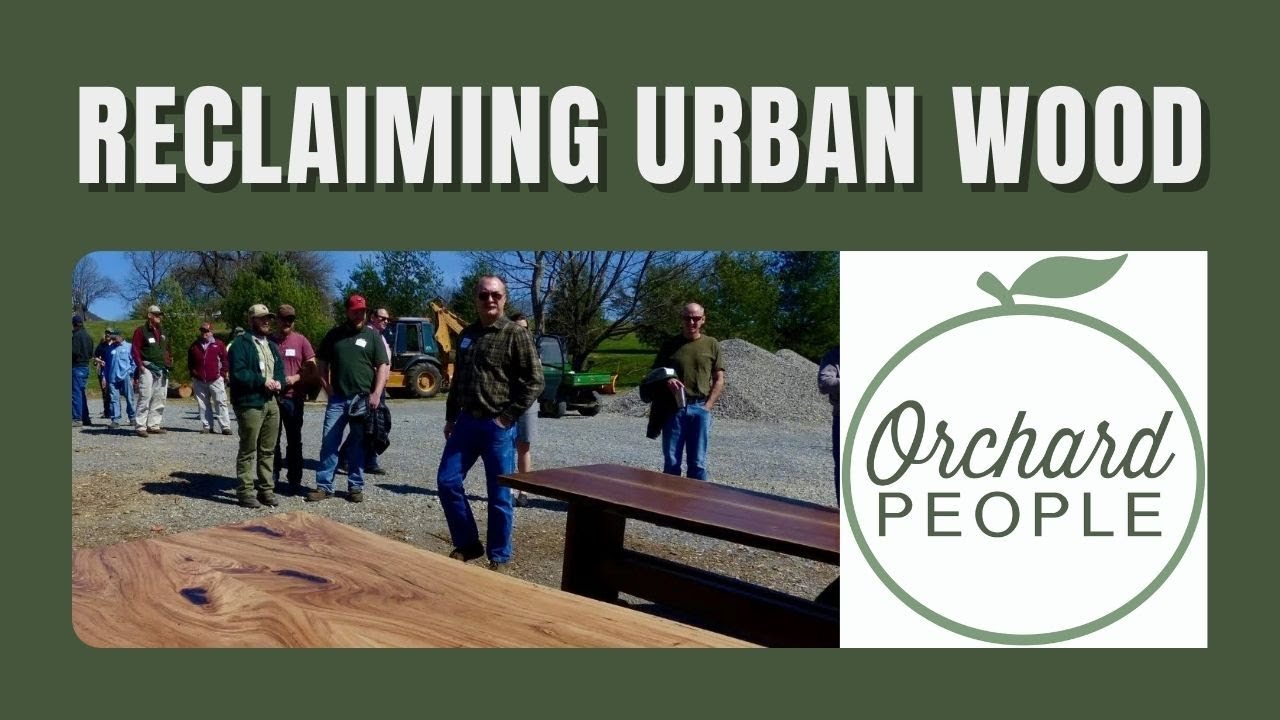 Upcycling Urban Wood: How Arborists and Homeowners are Turning Beloved Older Trees into Treasures