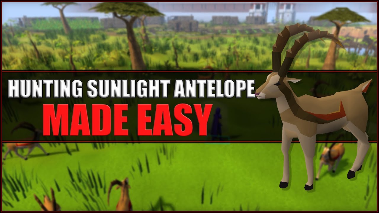 Quick Guide to Hunting Sunlight Antelopes in OSRS | Hunter Guide | Hunters Rumours