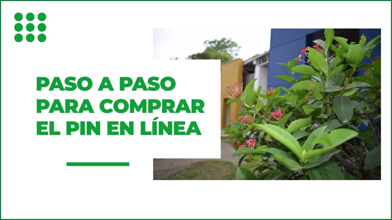 INSTRUCTIVO PARA COMPRAR EL PIN EN LÍNEA