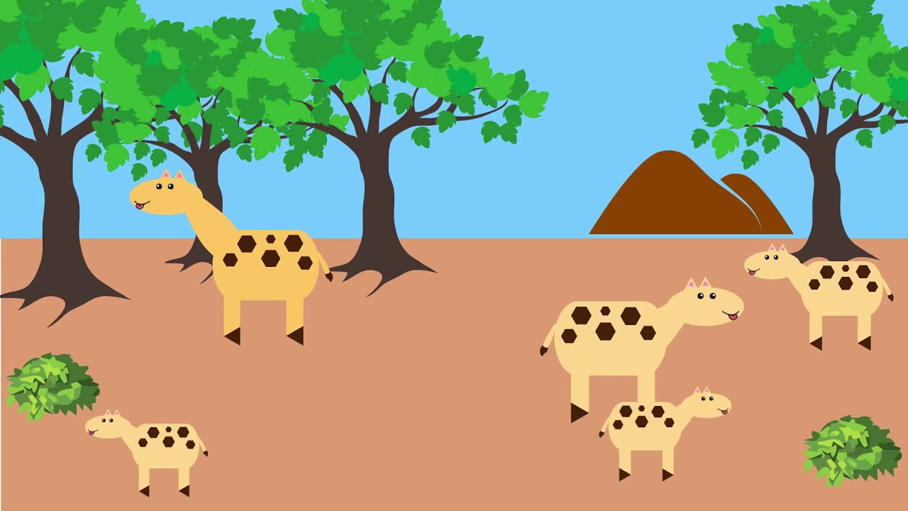 Science with Sam vol .10 - Animal Adaptations Part 2