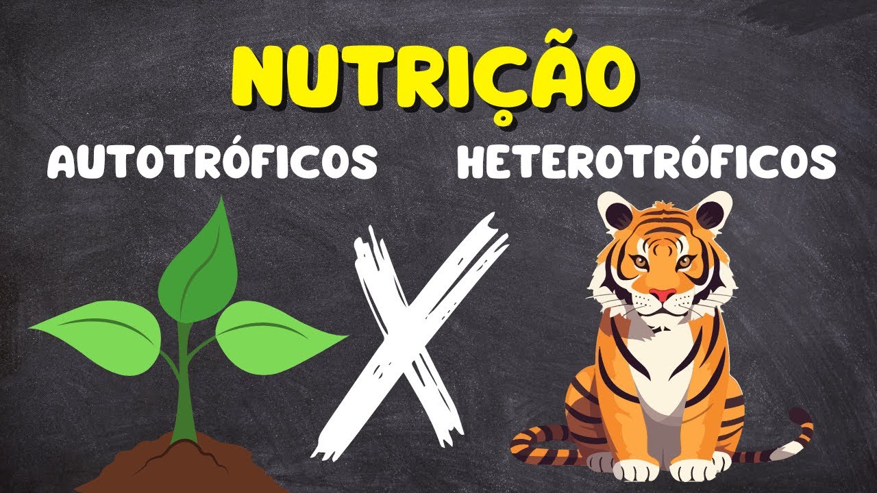 A DIFERENÇA entre seres  AUTÓTROFOS e seres  HETERÓTROFOS