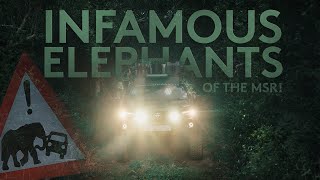 10 Things to Do in Maputo Elephant Reserve, Gurúè, Mozambique | Gems.Travel