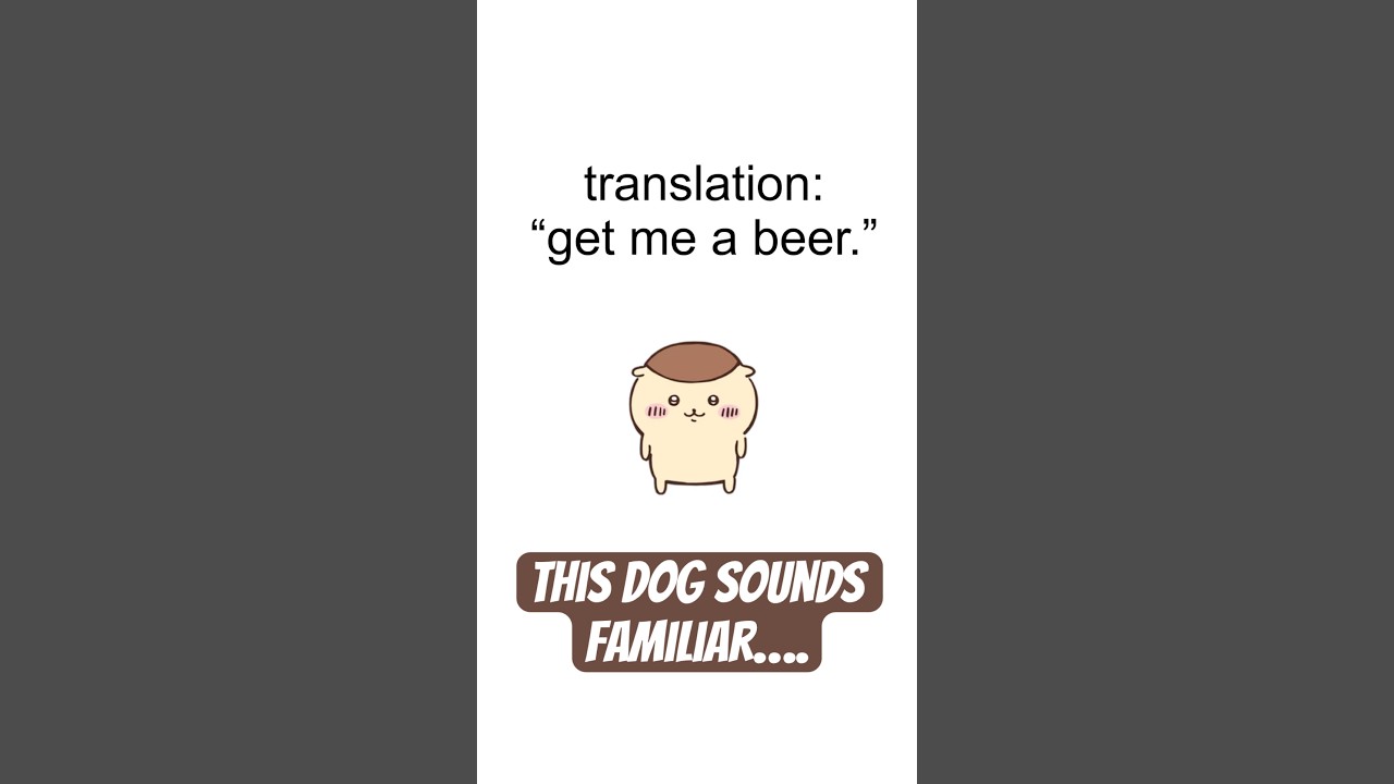 found a dog that sounds like kurimanju’s theme 😭 #chiikawa