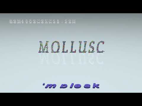 mollusc - pronunciation in British English (three voices / accents)