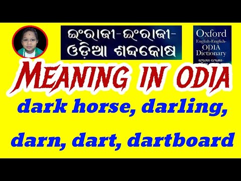 dark horse, darling, darn, dart, dartboard Meaning In Odia | Class 12th English Grammar In Odia