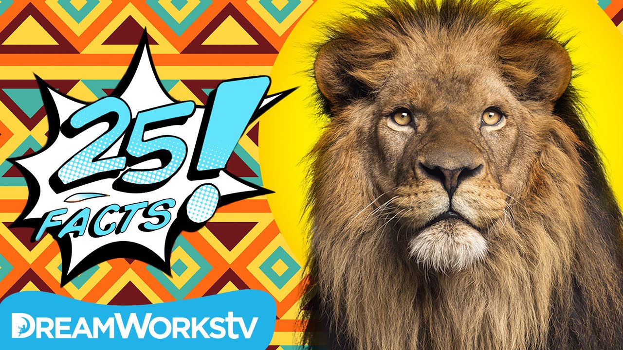 25 Fierce Facts About LIONS | 25 FACTS