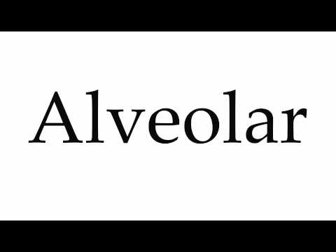 How to Pronounce Alveolar