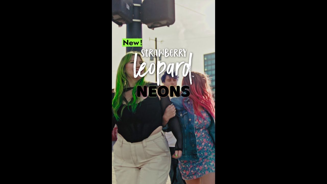 Create Model Management - Create Model Management