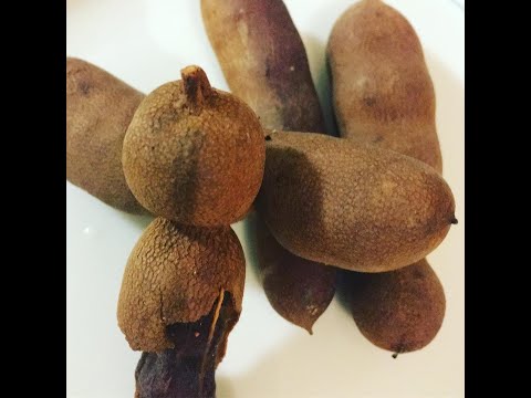 Making hot tamarind sauce - satisfying